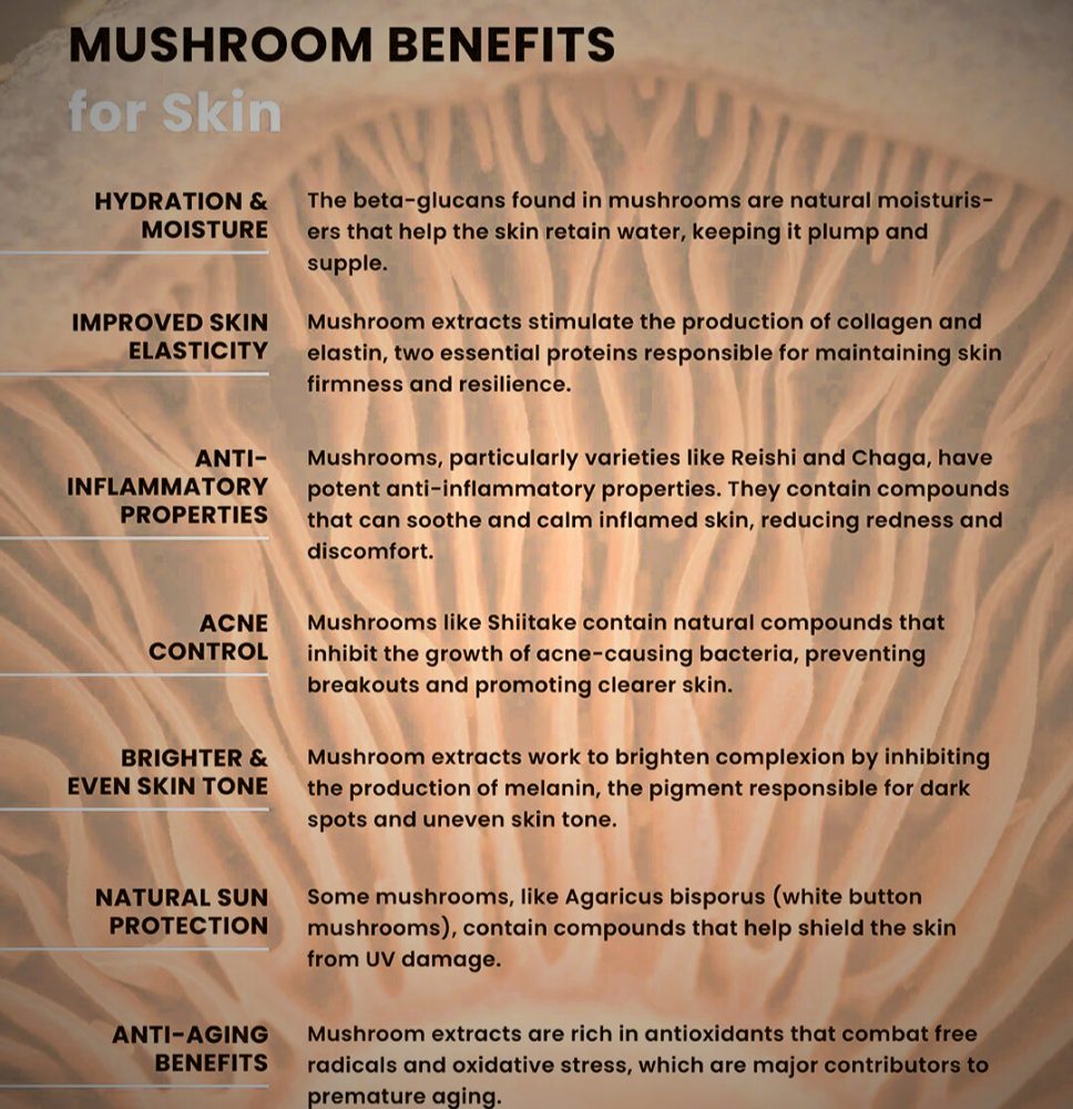 Clinical Moisturizer - DERMAKI